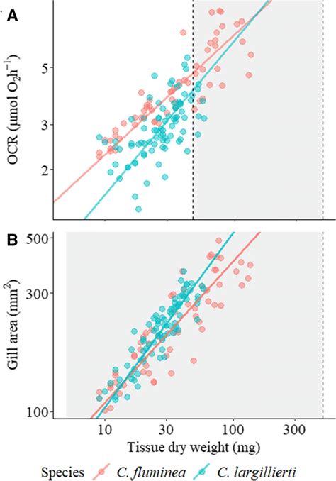 Regression Plots Of Clam Oxygen Consumption Rates Ocr A And Gill