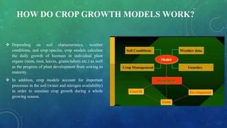CROP SIMULATION MODELS AND THEIR APPLICATIONS IN CROP PRODUCTION Pptx