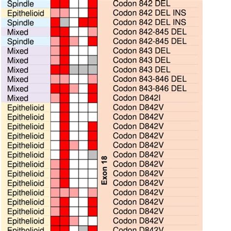 Graphical Summary Of All Pdgfra Mutant Gist Samples Each Row