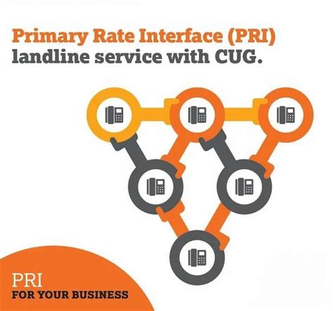 Primary Rate Interface Service At Best Price In Chandigarh By Speed