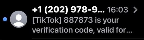 TikTok Phone Verification R Scams