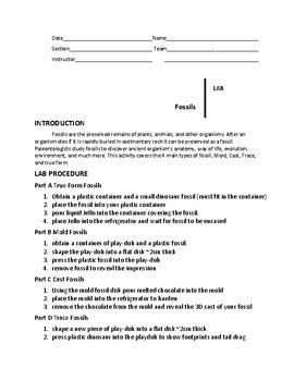 Fossil Types LAB By Kristin Irlam TPT