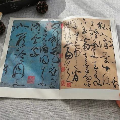 Calligraphy Manual Cursive Script Oriental Art Learn Chinese Art