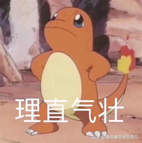 Jvm大局观之内存管理篇一java内存区域划分 知乎 Jvm大局观之内存管理篇一java内存区域划分 知乎