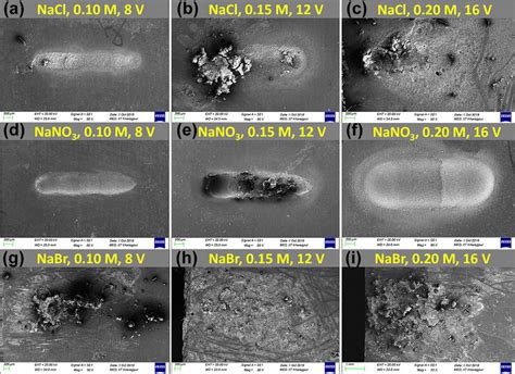 Sludge Growth On The Specimen For Different Electrolyte Conditions Download Scientific Diagram