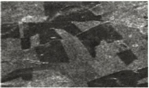 Sar Input Imagefor The Segmentation Algorithms Download Scientific