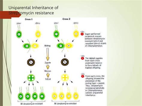 non mendelian inheritance ppt biological sciences science