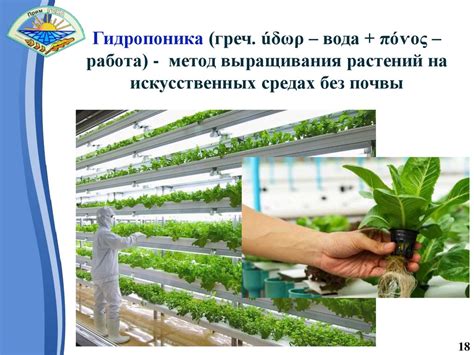Особенности защищенного грунта - презентация онлайн
