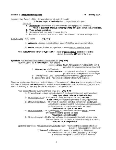 Notes Ch Chapter Integumentary System Fri May Integumentary System Skin Its