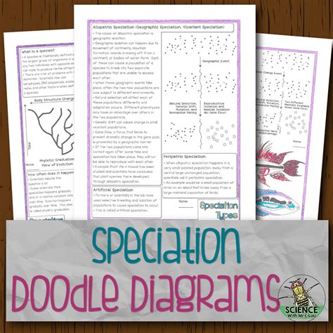 Speciation Doodle Diagrams Store Science And Math With Mrs Lau