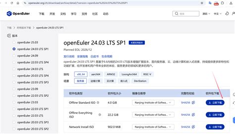 「新手必看」如何制作 openeuler 24 03 lts sp1 系统的 u 盘启动盘（以 ultraiso 为例） windows 制作