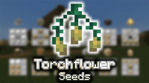 Minecraft Torch Seeds At Charles Mcclelland Blog