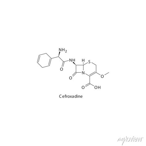Cefroxadine Flat Skeletal Molecular Structure 1st Generation • Wall Stickers Molded Meningitis