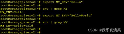 linux应用 环境变量的增删查改 linux删除环境变量 csdn博客