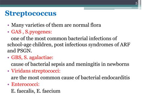 Solution Lecture 4 Streptococcal Infections 1 Studypool