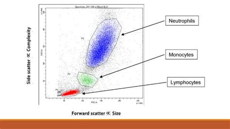 Flowcytometry Pptx Flowcytometry Pptx
