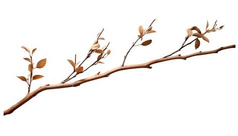 premium ai image twig side view