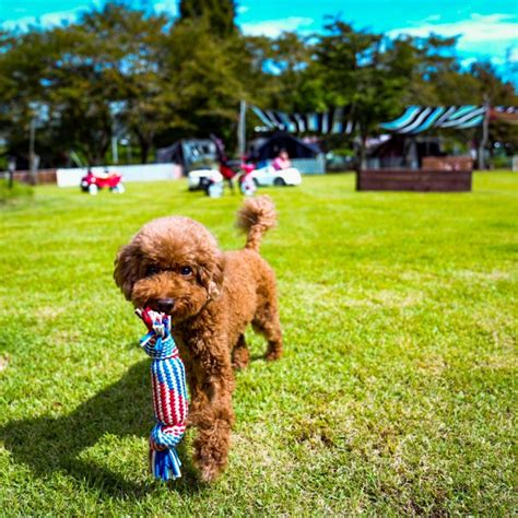 2프로 Dj 검색 결과 스푼 Spoon