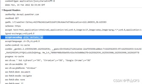 Net 5中对于请求的压缩和解压缩（gzip，brotli）iis Api 返回数据 Gzip Csdn博客