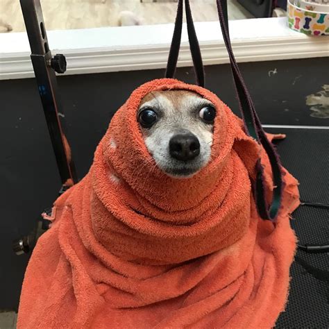 Vanessas Vintage Added A New Photo Vanessas Vintage