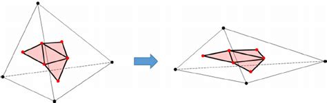 the coordinates of vertices on the surface mesh colored in red can be