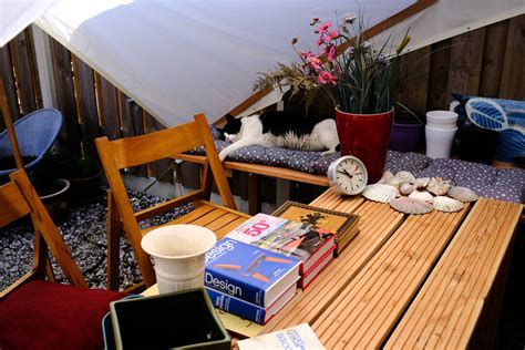 Putty Seeking The Shade Before Noon By Pagan Live Style On Deviantart