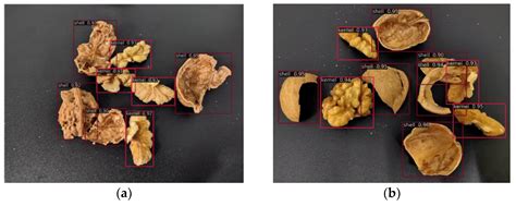 Machine Vision Based Chinese Walnut Shellkernel Recognition And Separation