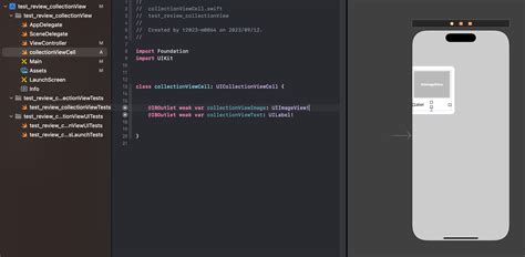 Iosswift Team Project Collectionview 구현