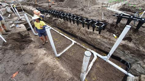 How Urban Trees Prevent Flooding Citygreen