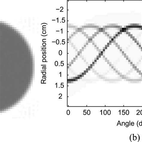 Optical Sensitivity Of The Optical Detection System As A Function Of