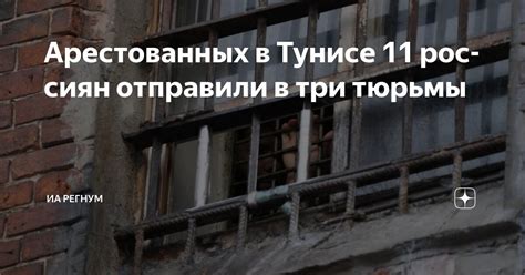 Арестованных в Тунисе 11 россиян отправили в три тюрьмы ИА Регнум Дзен