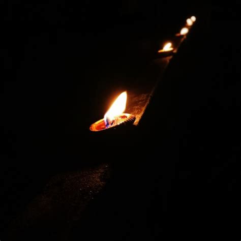 Lit Torch Images Free Download On Freepik