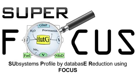 annotating the function in the bins with super focus