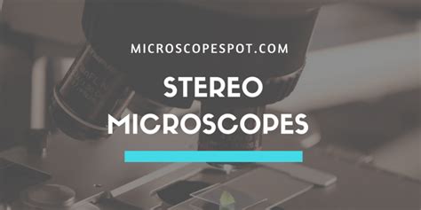 Best Stereo Microscope A Comprehensive Guide Microscope And