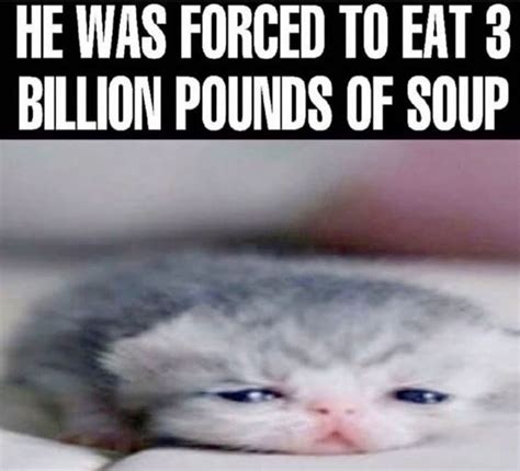 Funny Cat Meme He Was Forced To Eat 3 Billion Pounds Of Soup
