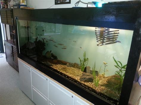 Plywood Aquarium Build At Henry Mccathie Blog