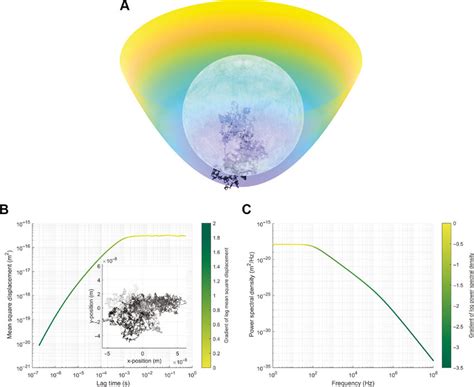The Confinement Of An Optically Trapped Particle A Visualization Of Download Scientific
