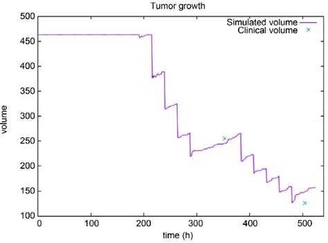 Tumour Volume Evolution Case Of Patient 12 Download Scientific Diagram