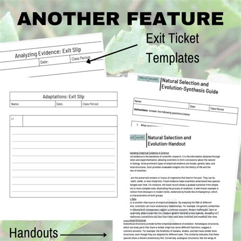 Natural Selection And Evolution Complete Mini Lesson Bundle By Ashley