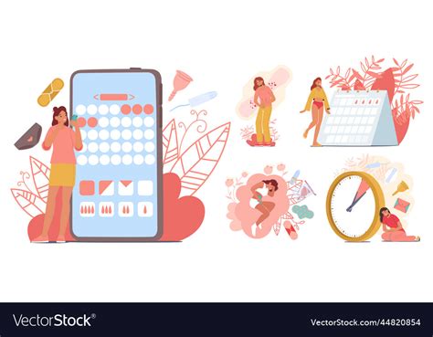 Set Women Menstruation Period Female Reproductive Vector Image