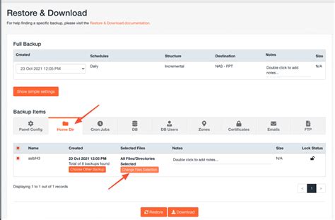 How To Use Jetbackup 5 On Cpanel