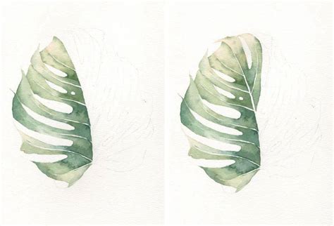 Ins风装饰画不求人，手把手教你画出ins风植物水彩画！ 搜狐大视野 搜狐新闻