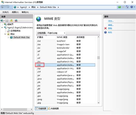 Windows Server 2016如何在iis添加mime类型 纵横数据