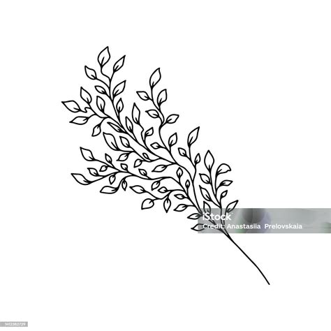 낙서 스타일의 나뭇잎 나뭇 가지와 잔디가있는 손으로 그린 줄기 0명에 대한 스톡 벡터 아트 및 기타 이미지 0명 갈색
