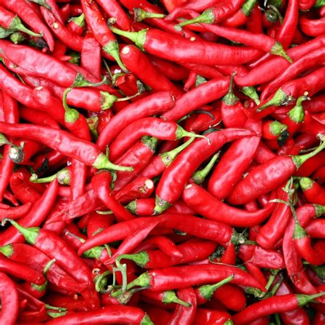 Our Products Prodev Kayonza