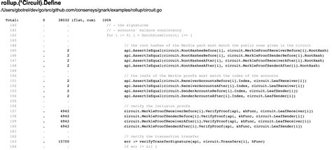 Profile Circuits Gnark