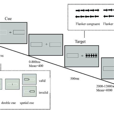 Schematic Of The Visual Attention Network Task Ant V Download Scientific Diagram