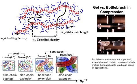 Bottlebrush Melts And Elastomers Sheiko Group Home