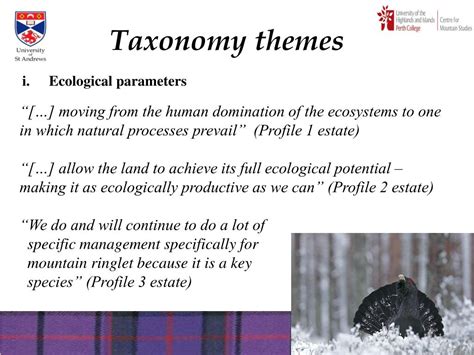 Ppt ‘rewilding The Scottish Highlands A Taxonomy Of Wild Land