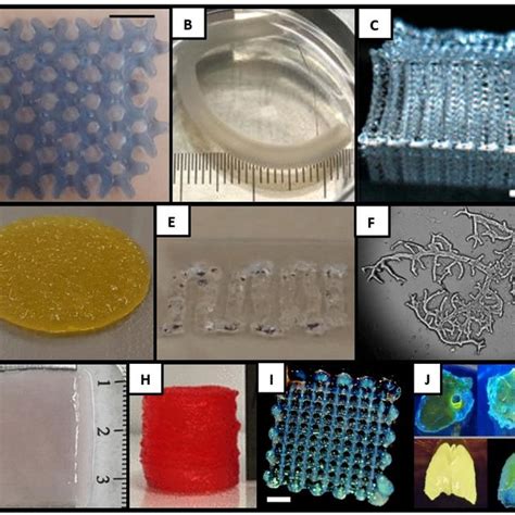 Examples Of Biologically Based Bioinks A An Agarose Alginate Blend Download Scientific